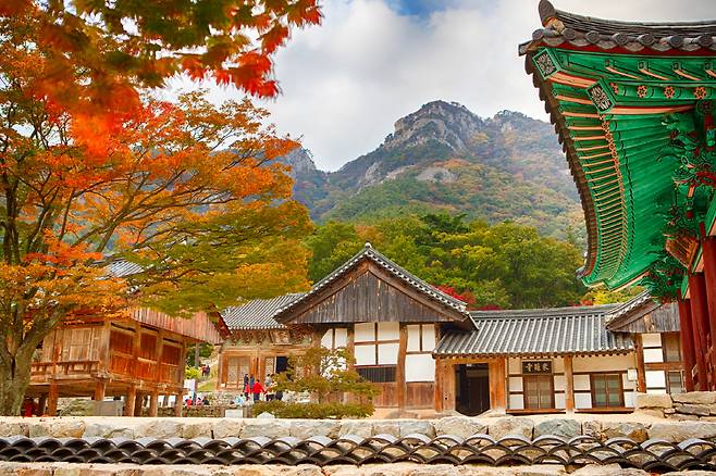산·바다 동시에 즐긴다전북 부안의 늦가을 단풍도 한창