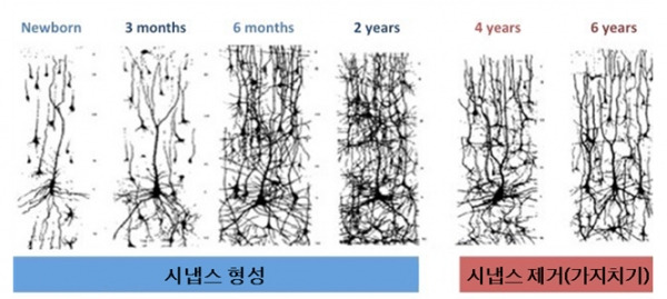 인생에서 가장 중요한 시기를 꼽는다면