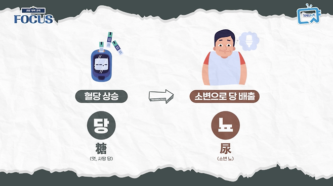 당뇨병 치료의 역사와 치료제 종류는 서울대학교병원