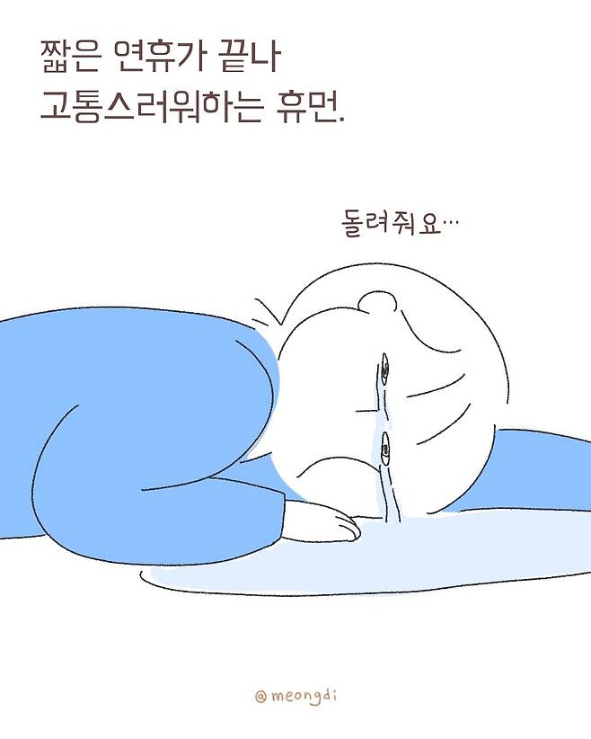 연휴 끝난 거 눈치챈 강아지 키니일기