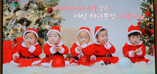 온 국민에 감동 준 ‘오둥이 산타‘총리산타‘보훈산타 행복은 다섯제곱”