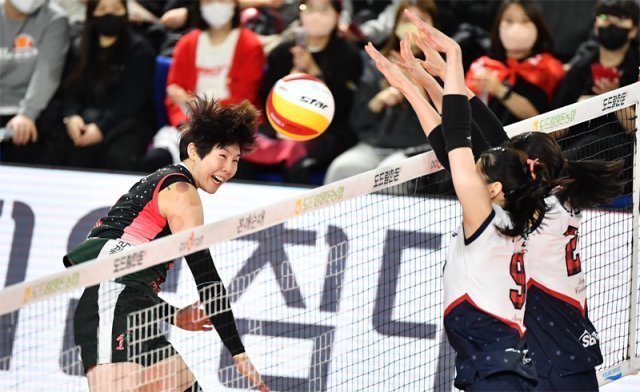 리시브 살아난 인삼공사 현대건설 철옹성 뚫었다