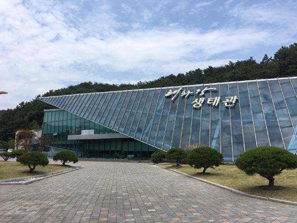 태화강 연어의 모든 것첫 연구자료 내달 공개