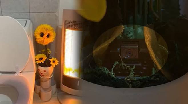 화장실 화분에 카메라 숨겨 불법촬영꽃집 사장 불구속 입건