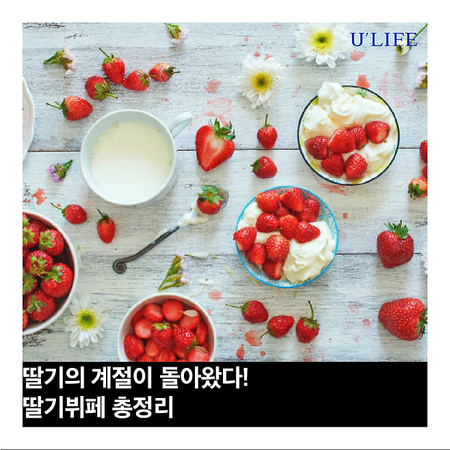 딸기의 계절이 돌아왔다 딸기뷔페 총정리 유라이프