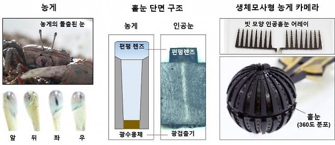 농게 눈 본딴 수륙양용 카메라 개발 송영민 교수 이달의 과학기술인상