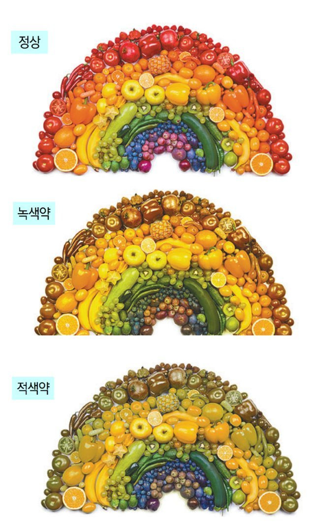 색약환자는 ‘알록달록한 세상을 전혀 볼 수 없을까