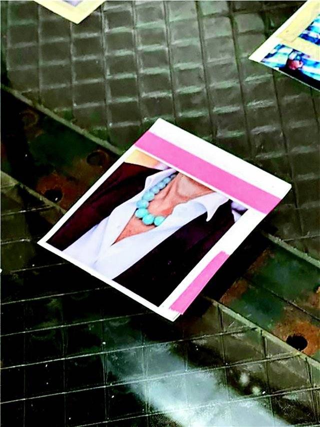 언론사뷰