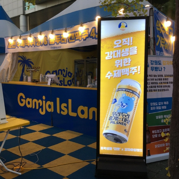 감자아일랜드 강원대 마스코트로 수제맥주 만들어 수익금 기부