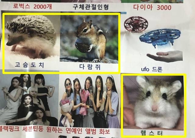 초등생 학원전단지 이게 맞는 건가요” 사연뉴스