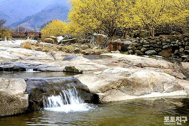 포토친구 산동마을 산수유
