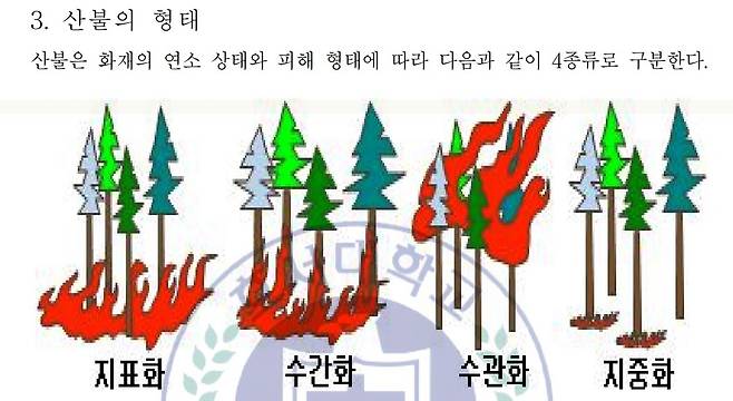 잦은 대형 산불의 진짜 원인 산림청이 알고도 감췄다 최병성 리포트