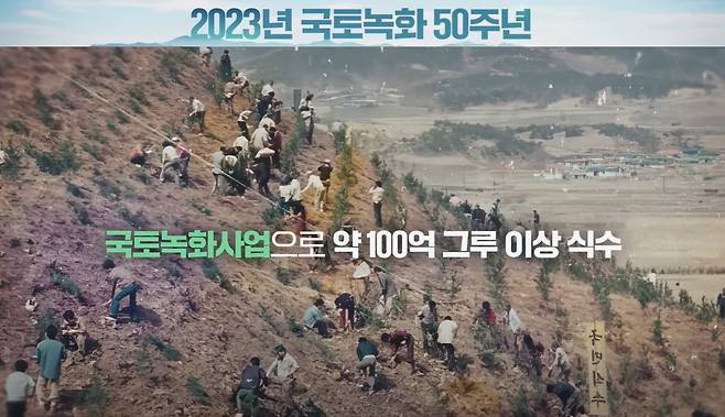 잦은 대형 산불의 진짜 원인 산림청이 알고도 감췄다 최병성 리포트