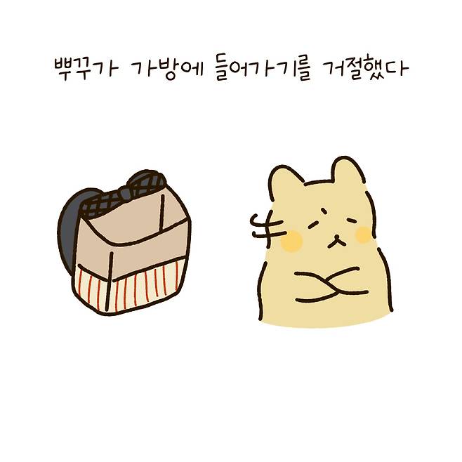 😘이동 가방에 들어가기 싫어했는데 어느샌가 잠들어있는 댕댕이 ㅎㅎ 비마이펫
