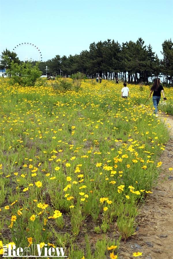 한 번은 걸어야 할 길 속초 외옹치항 바다향기로