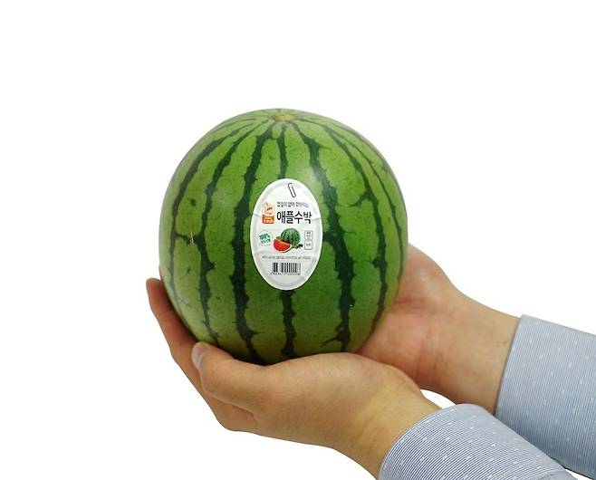 1인 가구 늘어나니 한손에 잡히는 ‘작은 수박 잘 팔린다