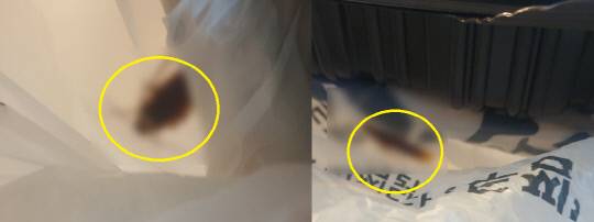 바퀴벌레 나와도 안 돼 찜닭 환불 거부 당한 사연은