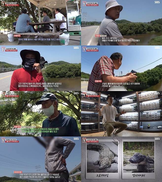 Daegu Gyeongbuk Institute of Science and Tech The Great Outdoors, Caught