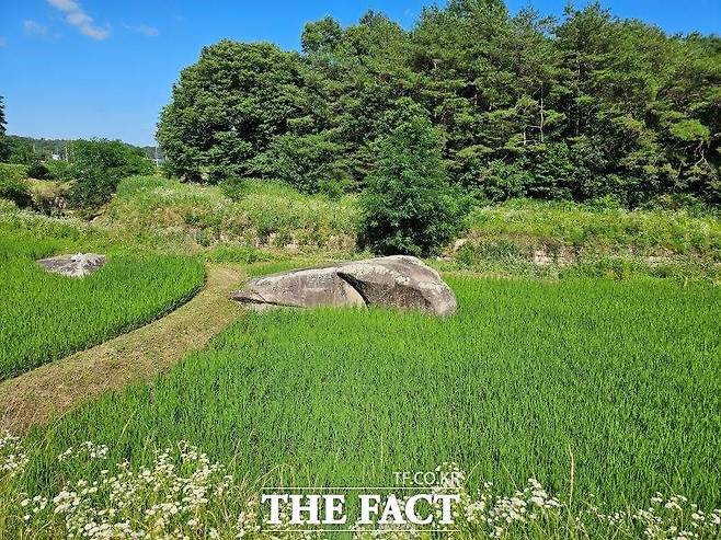‘한국 독립운동 산실 안동시 왜 이러나항일독립운동 유적 논바닥에 방치