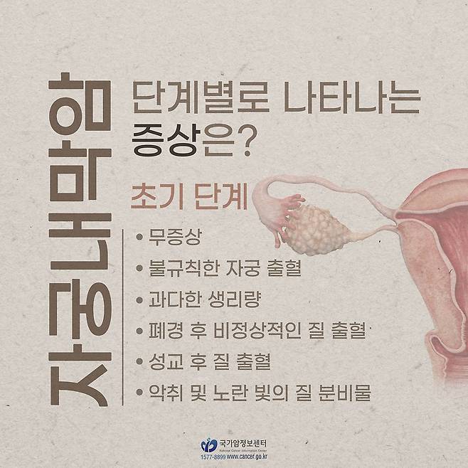 자궁내막암 단계별로 나타나는 증상이 있다 자궁암 국가암정보센터