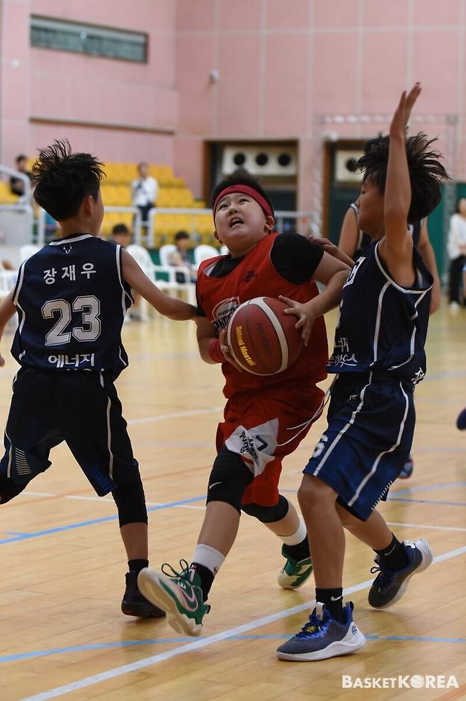 23땅끝해남기 완벽한 조직력 자랑한 현대모비스 더블헤더 치른 청주 Kcc에 대승