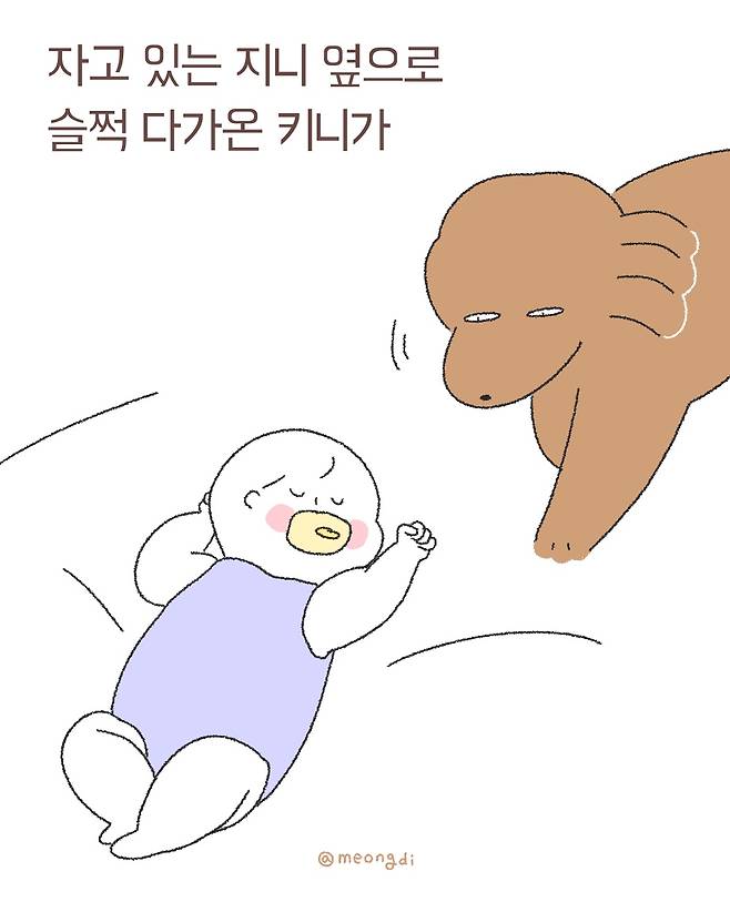 아기랑 꼬옥 붙어 자는 강아지 키니일기