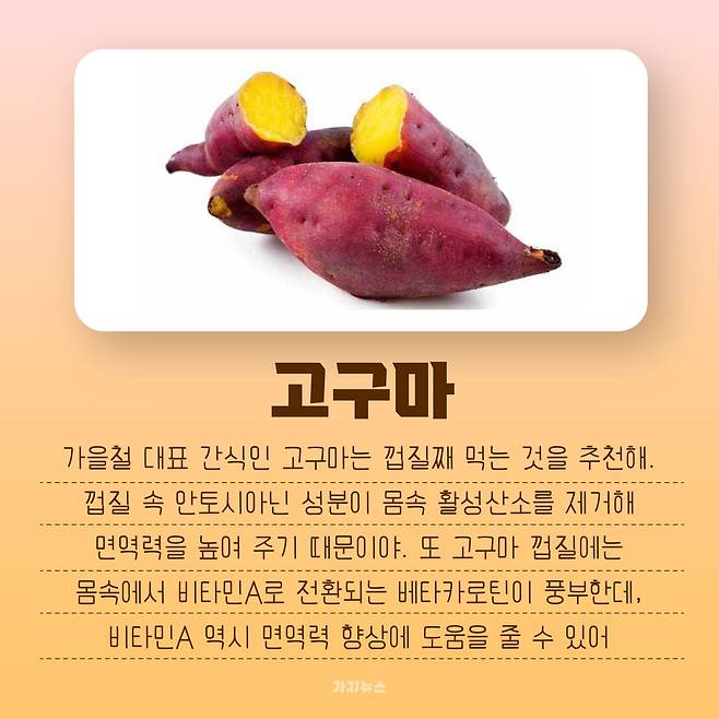 환절기 면역력 절대 지켜 지금부터 챙겨 먹어야 할 음식 6 가지뉴스