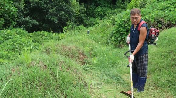 단독 조상님 얼굴도 모르는데 벌초” 60년 후 1명이 묘 22기 돌본다 파묘 조상님 묘를 옮기겠습니다