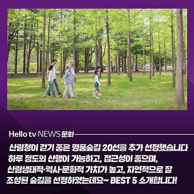 산림청 선정 걷기 좋은 명품숲길 Best 5 소개♡ 지역연구소 지랩