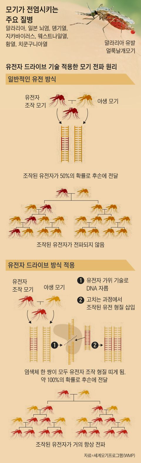 ‘반값 백신 등장 말라리아 끝이 보이네