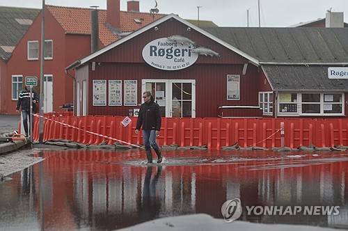 DENMARK STORM BABET