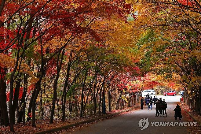인제 필례약수터 오색 단풍