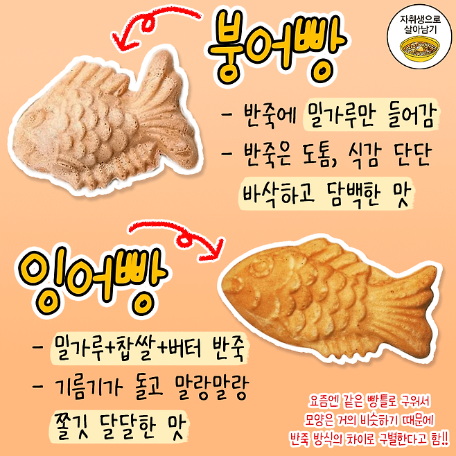 이름만 다른 줄 알았던 붕어빵vs잉어빵 구별 방법! | 자취생으로 살아남기