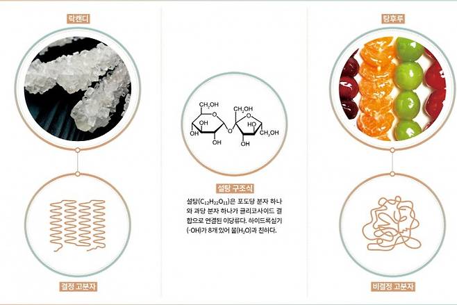 와그작 탕후루 씹는 맛의 과학적 비밀