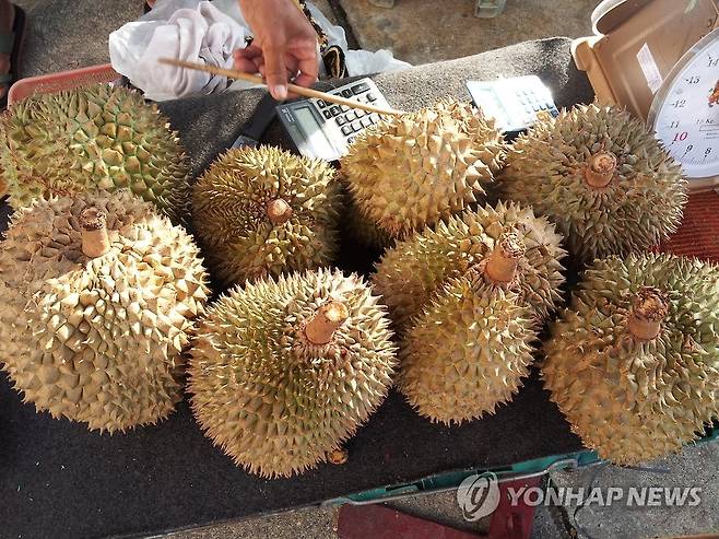 中 두리안 사랑에 베트남 농장서 커피나무 퇴출