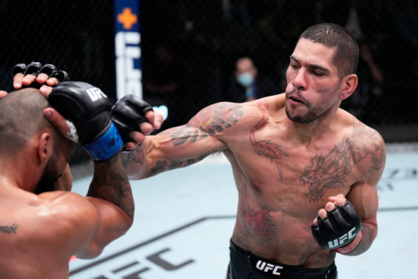 페레이라 Ufc 2체급 정복 도전韓 파이터 강경호도 오늘 출격