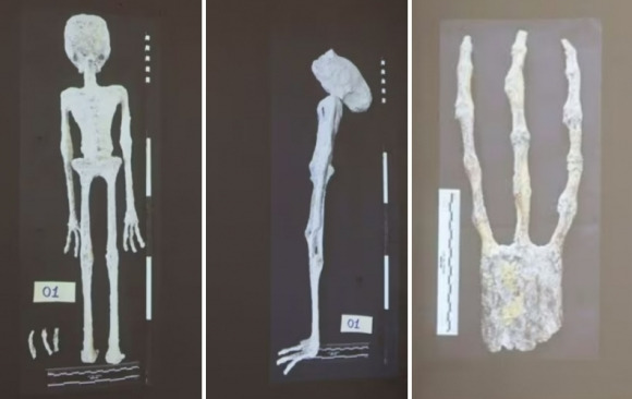 길쭉한 머리·손가락 3개 ‘외계인 시신의 정체 밝혀졌다 포착