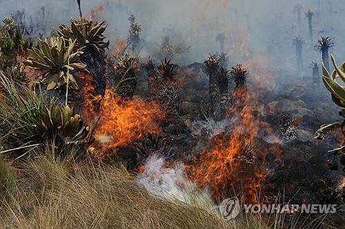 ECUADOR FIRE