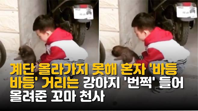 멀쩡한 자기들 침대 굳이 놔두고 소파에 앉아 게임하는 남편 뒤에서 자는 중인 고양이들 애니멀 플래닛