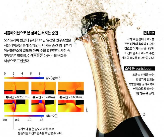 샴페인 터지는 뻥 소리에 담긴 비밀