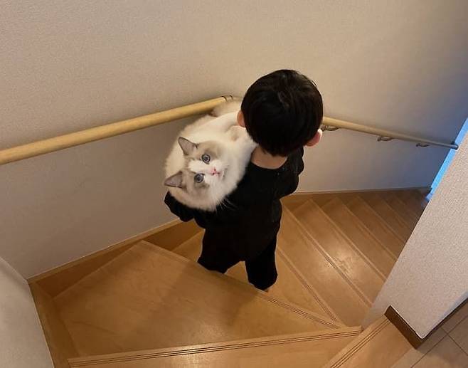 고양이 안고 계단 내려가는 초등학생 아들 8개월 전과 후 사진으로 보는 성장 속도 애니멀 플래닛