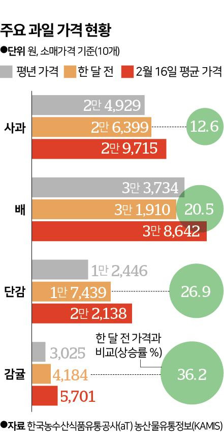설 지나도 안 꺾이는 배·사과 가격 또 세금으로 잡는다