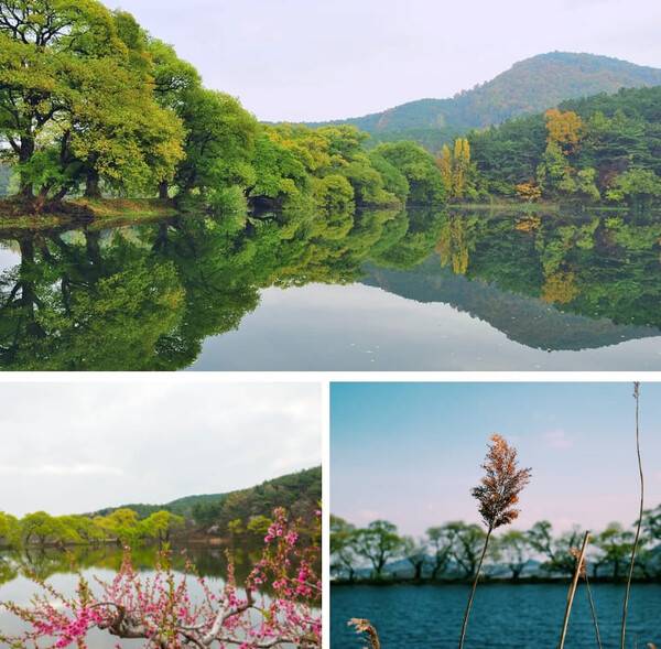 경산 가볼만한 곳 Best 5 여행명소추천 데이트코스 여행톡톡