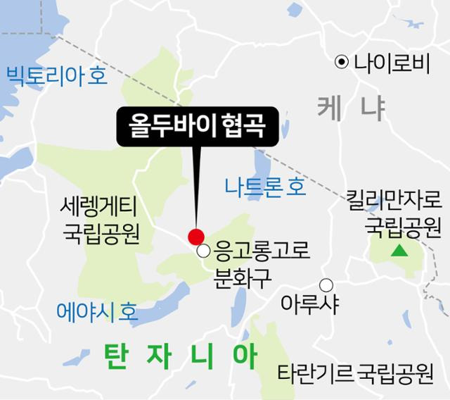 한 가족이 아프리카에서 풀어낸 인류기원 수수께끼 배기동의 고고학 기행