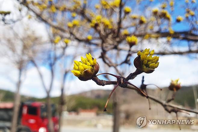 화요일 아침 4~4도 대부분 지역 영하낮엔 3~12도