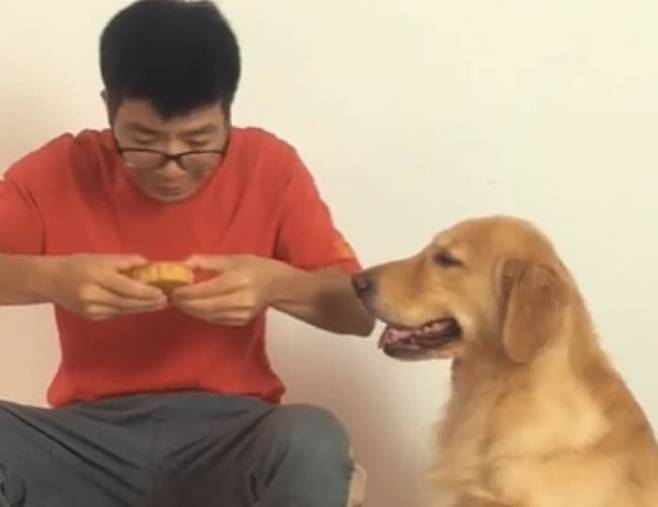 간식 먹을 생각에 행복한 강아지 보는 앞에서 쥐꼬리만큼 떼어서 주면 생기는 일 애니멀 플래닛
