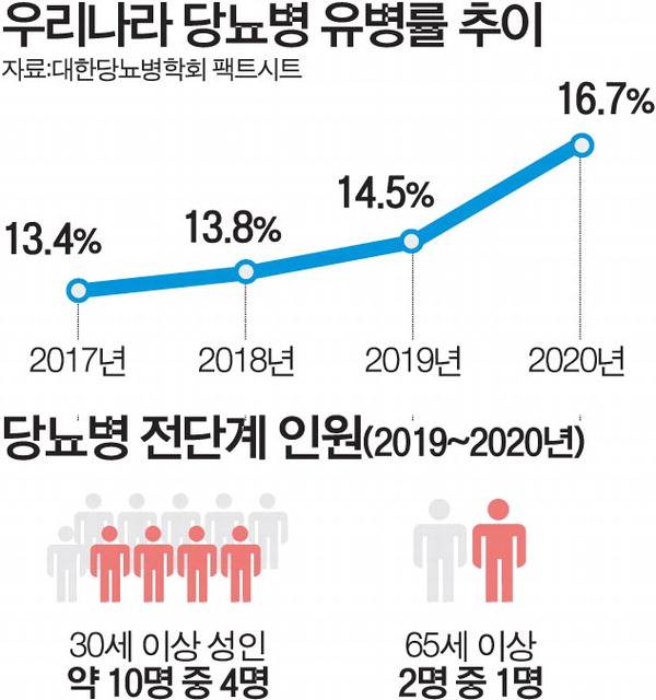당뇨 전 단계 국내 1500만 명약물치료로 혈당 조절을”