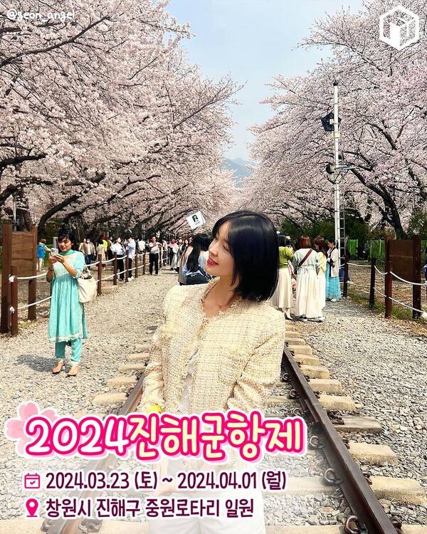 2024 진해 군항제 일정 코스 및 꿀팁 총정리 주차 여행톡톡