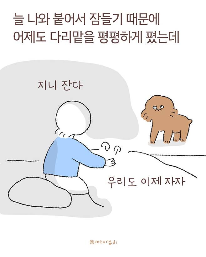아기가 무서울까 봐 같이 자주는 강아지 키니일기