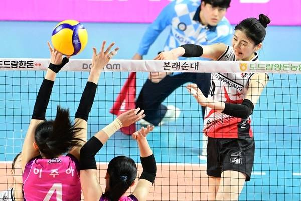 ‘0 기적 도전 정관장 키는 지아도 메가도 아니다캡틴 공백 메워야 하는 박혜민 3점·공성 18·리시브 효율 15 부진 지울까